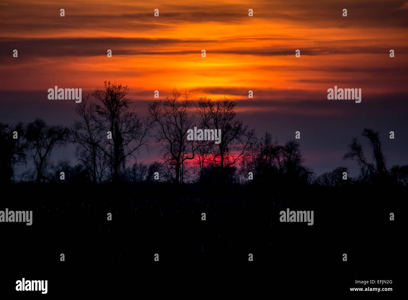 Dramatic silhouettes hi-res stock photography and images - Alamy