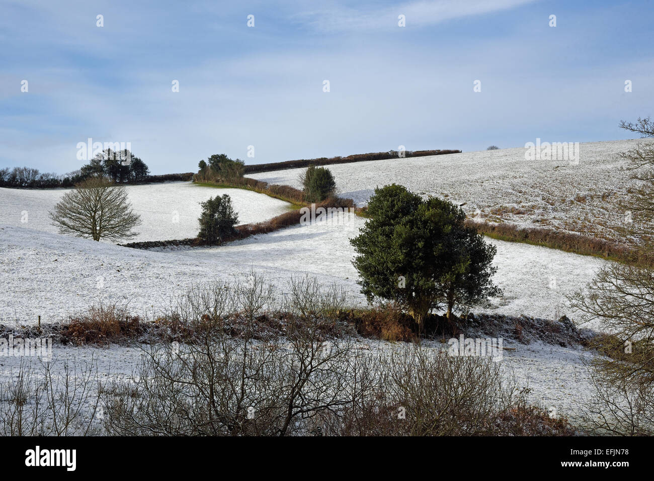 Winter scene, Dartmoor National Park, Devon, UK Stock Photo - Alamy