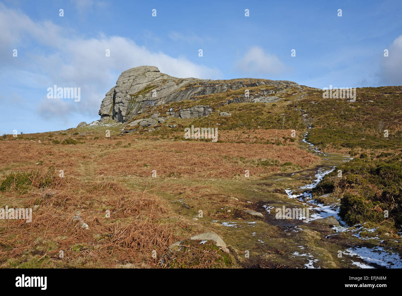 Haytor, Dartmoor, National Park, Devon, UK Stock Photo - Alamy