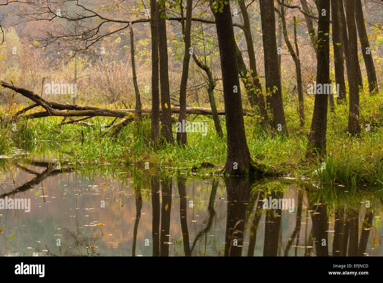 River shore hi-res stock photography and images - Alamy