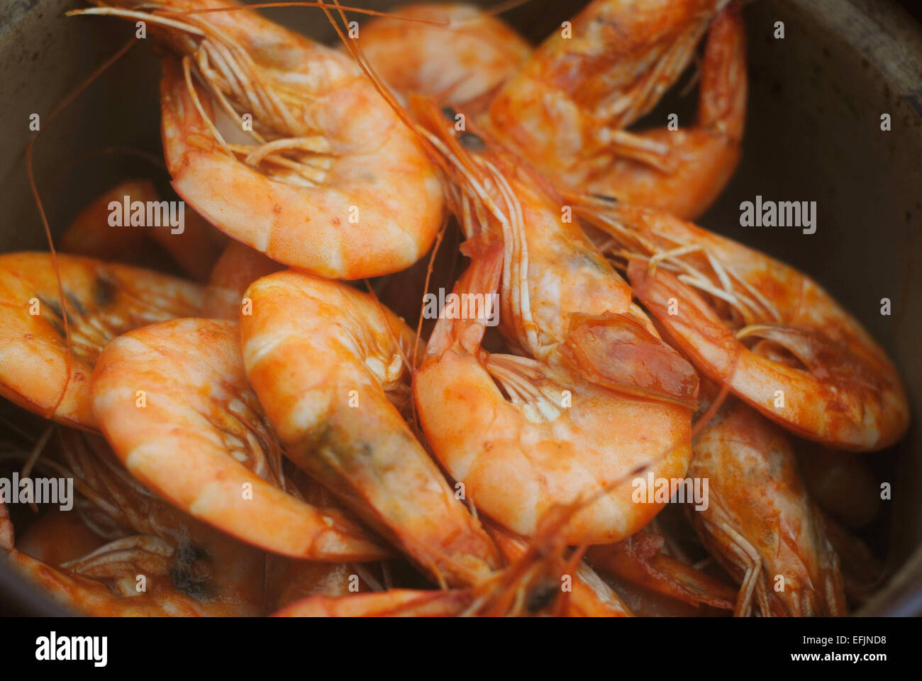 Cooked shell-on prawns Stock Photo - Alamy