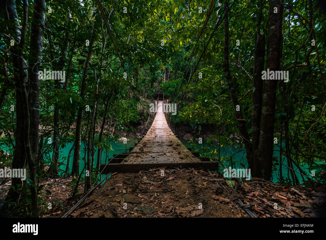 Hanging bridge in Costa Rica Stock Photo - Alamy
