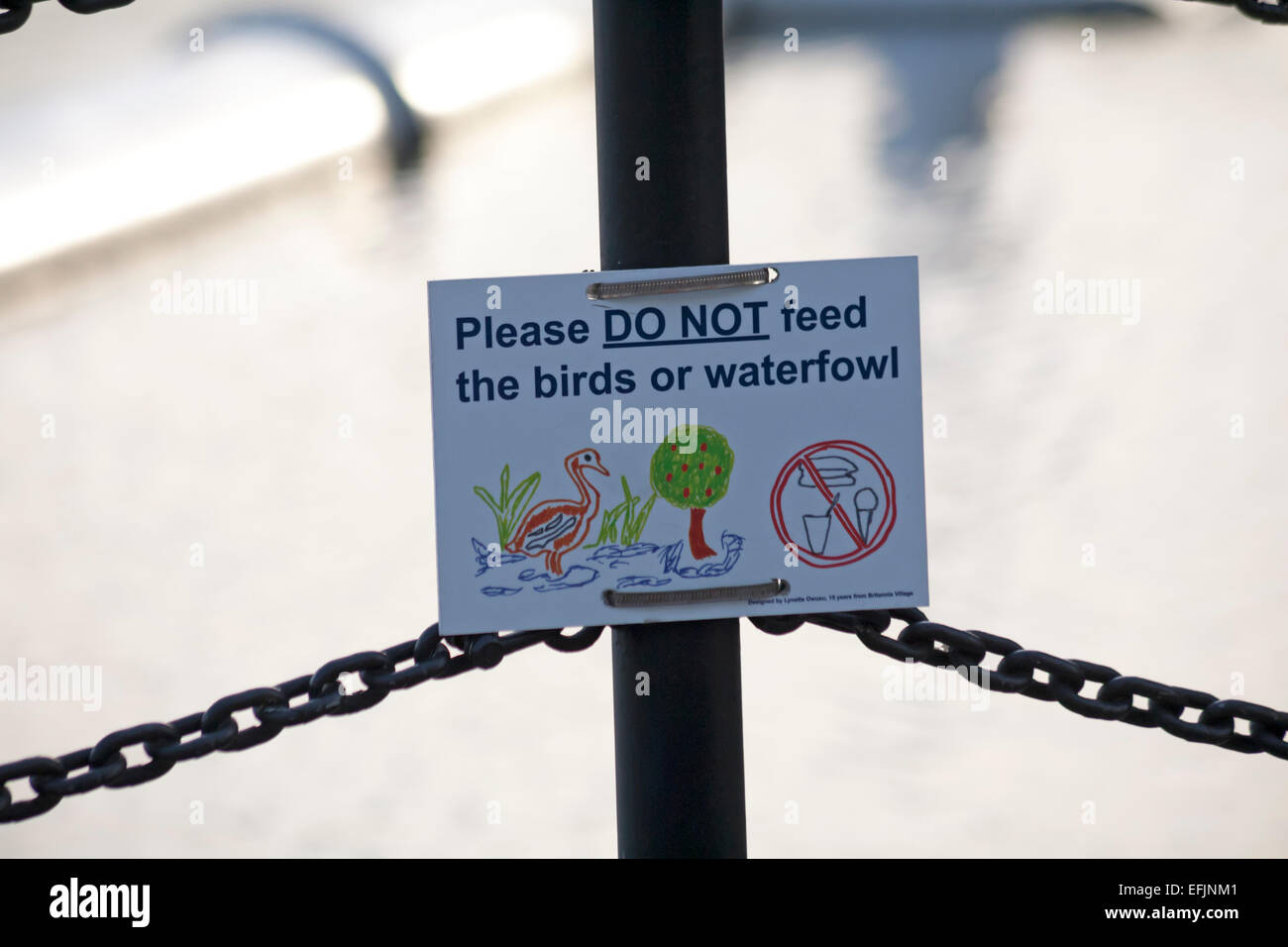 Please do not feed the birds or waterfowl sign at Royal Docks, London ...