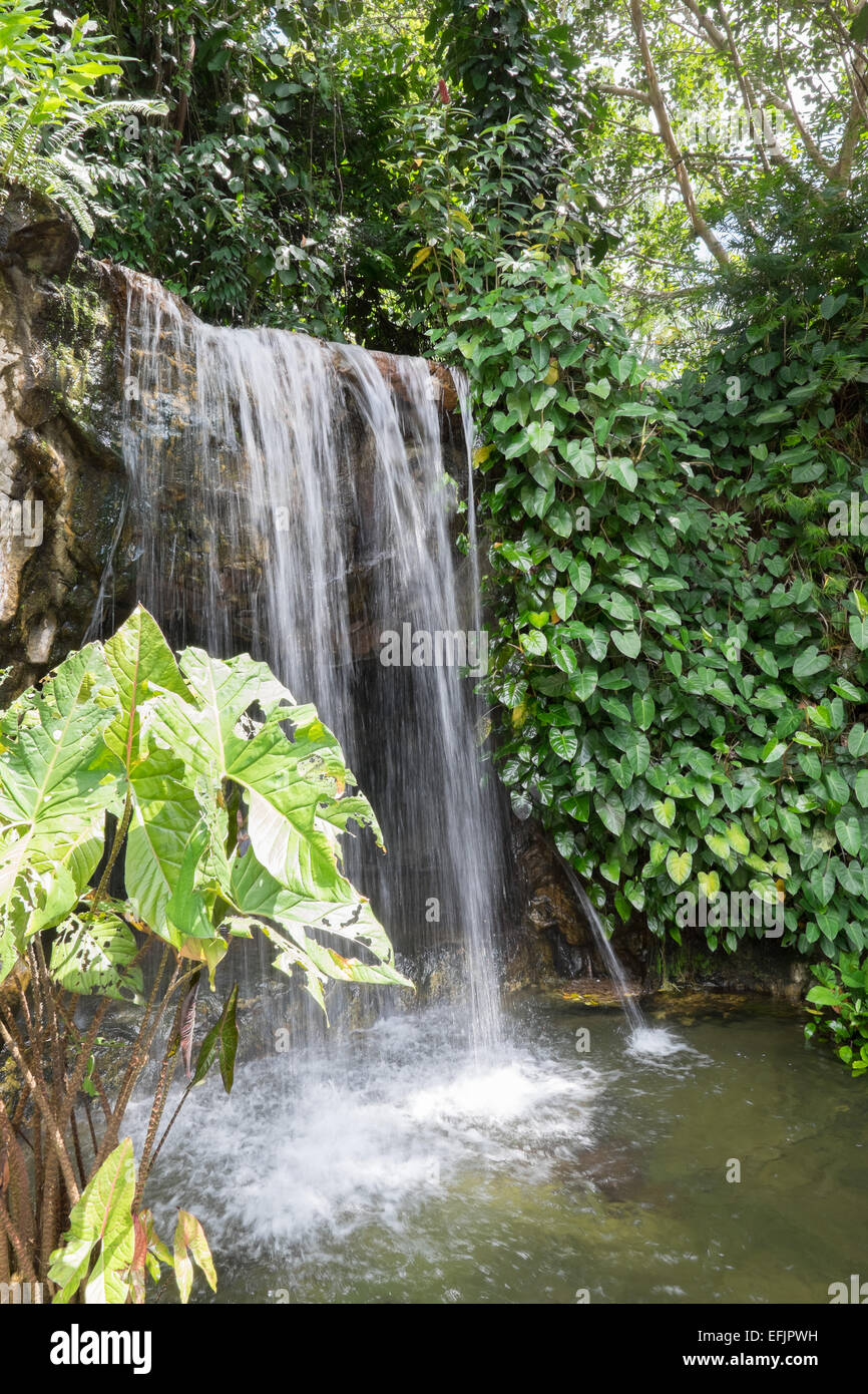 Waterfalls In Botanical Gardens