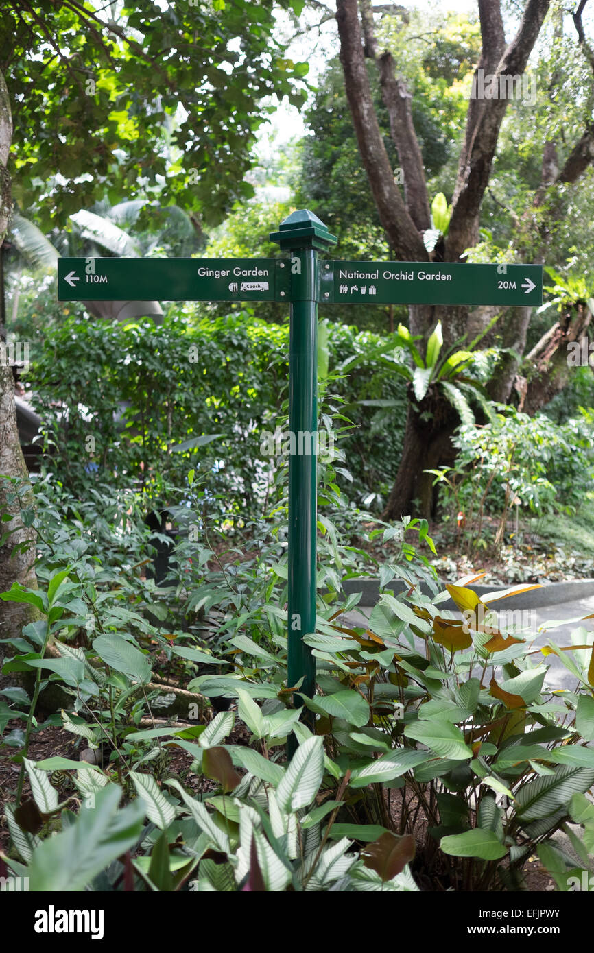 Singapore Botanic Gardens Ginger Garden High Resolution Stock ...