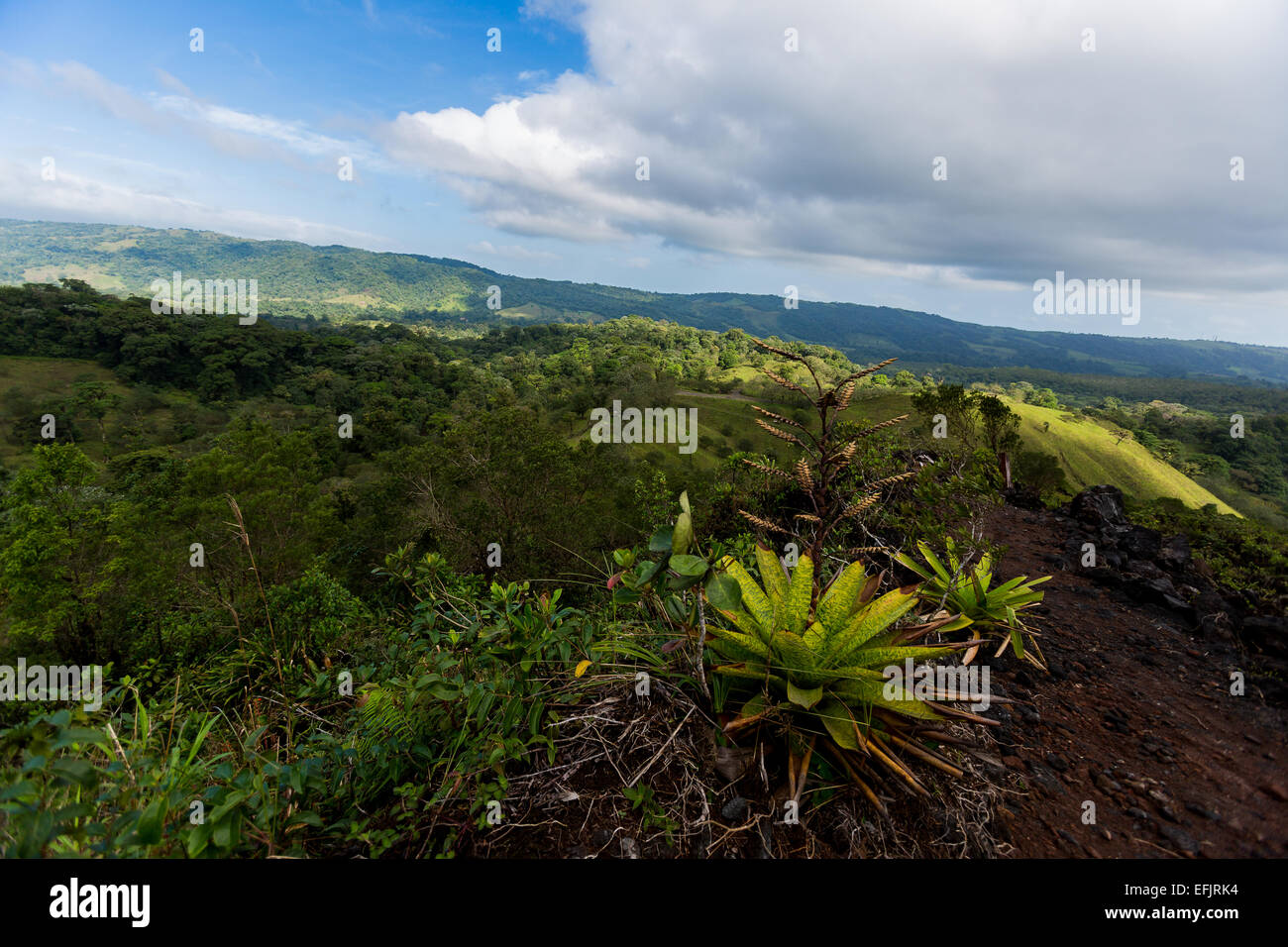 Costa Rica Landscape Stock Photo - Alamy