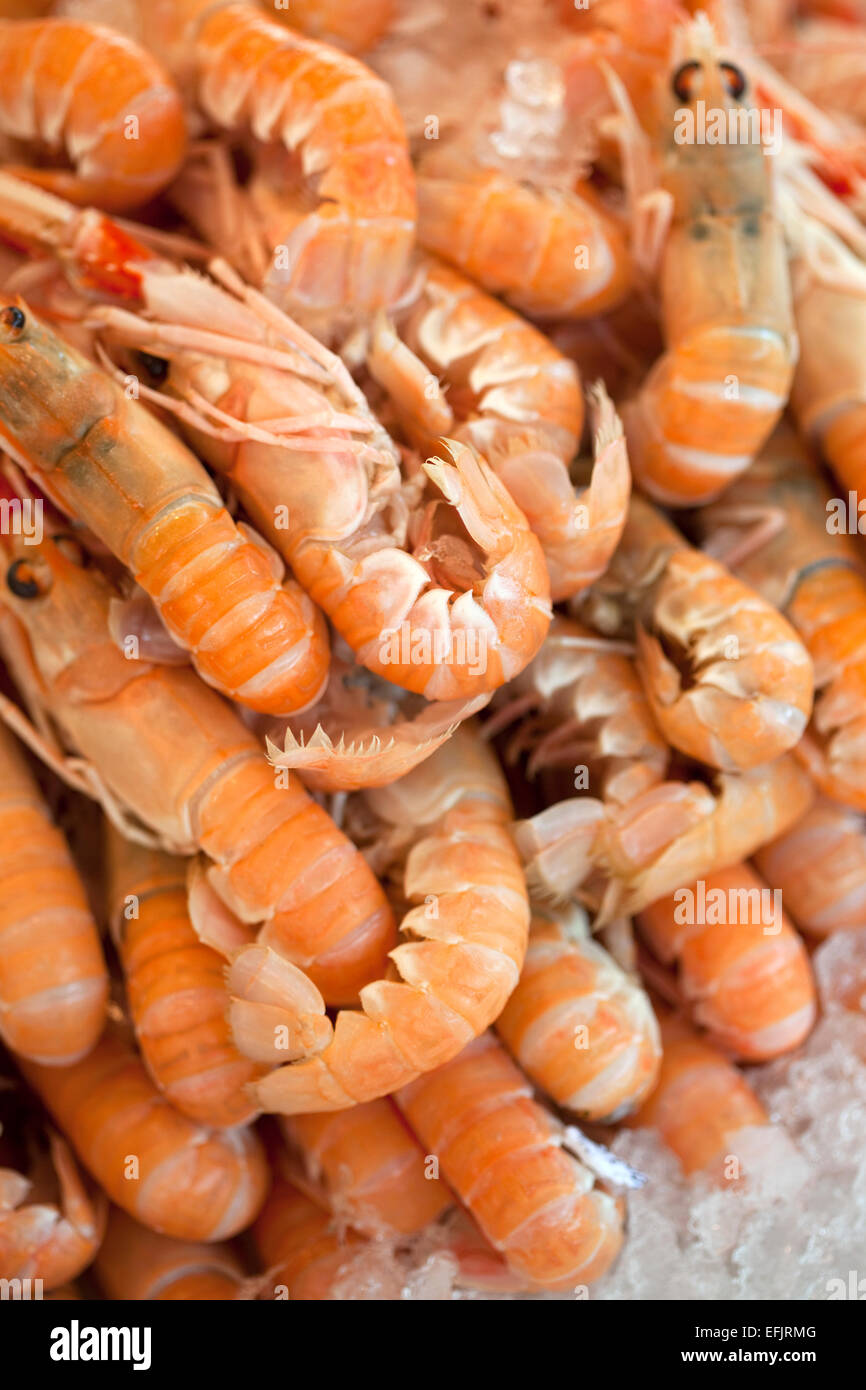 Scampi on a market stall Stock Photo - Alamy