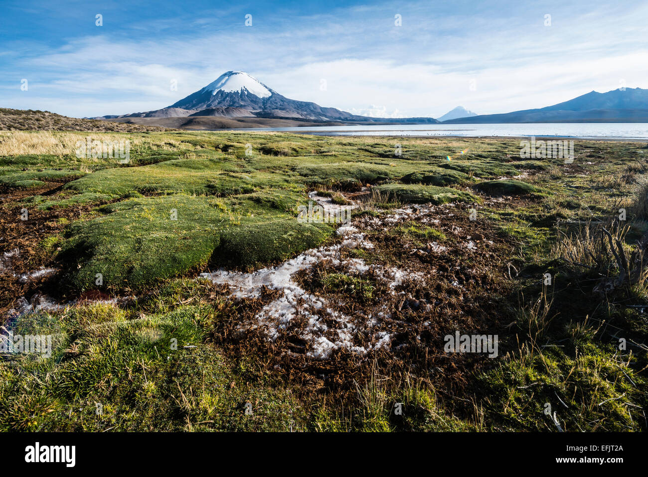 Snow capped Parinacota Volcano reflected in Lake Chungara, Chile Stock ...