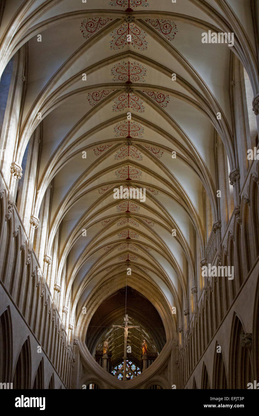 Vaulted ceiling of Wells Cathedral, Somerset, England in December Stock ...