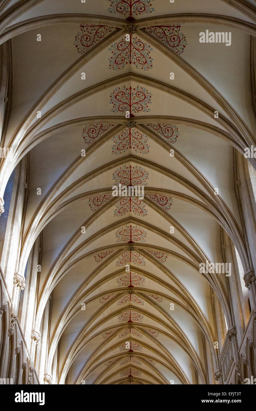 Vaulted ceiling of Wells Cathedral, Somerset, England in December Stock ...
