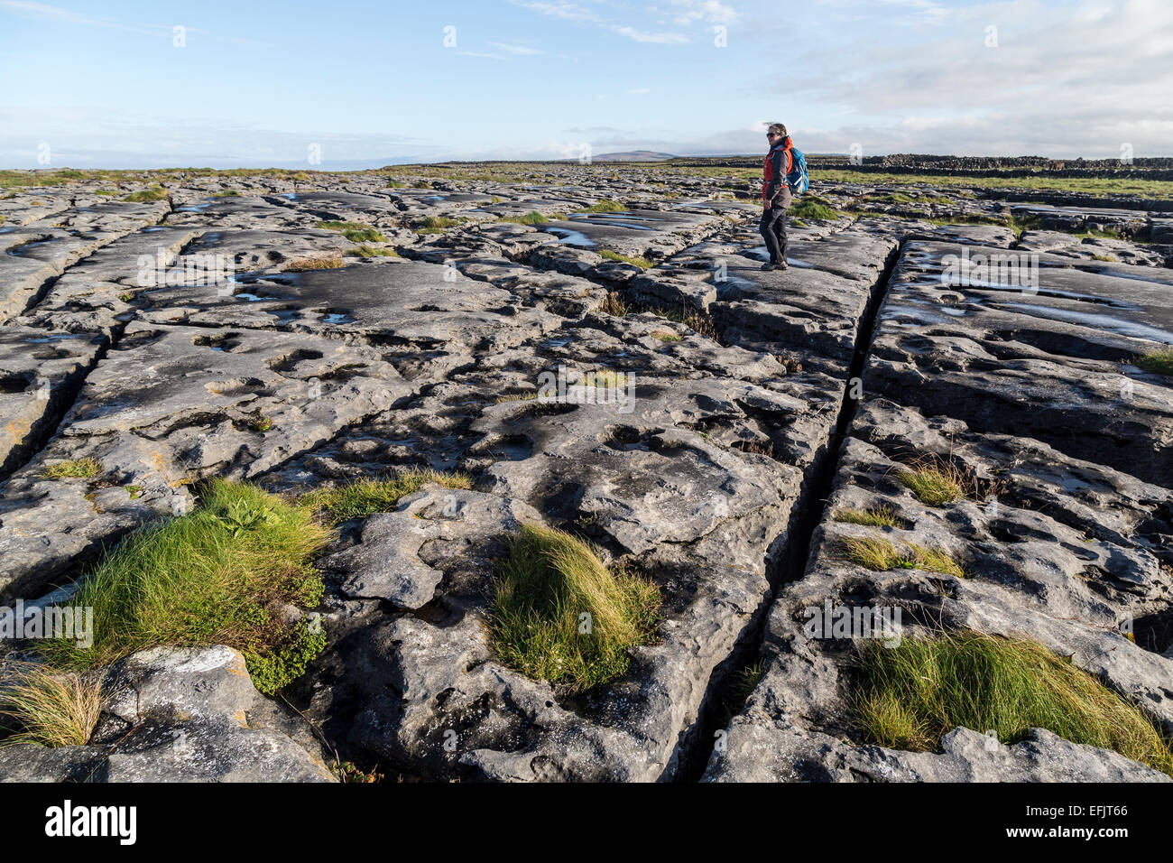 Rocky Pavement High Resolution Stock Photography and Images - Alamy