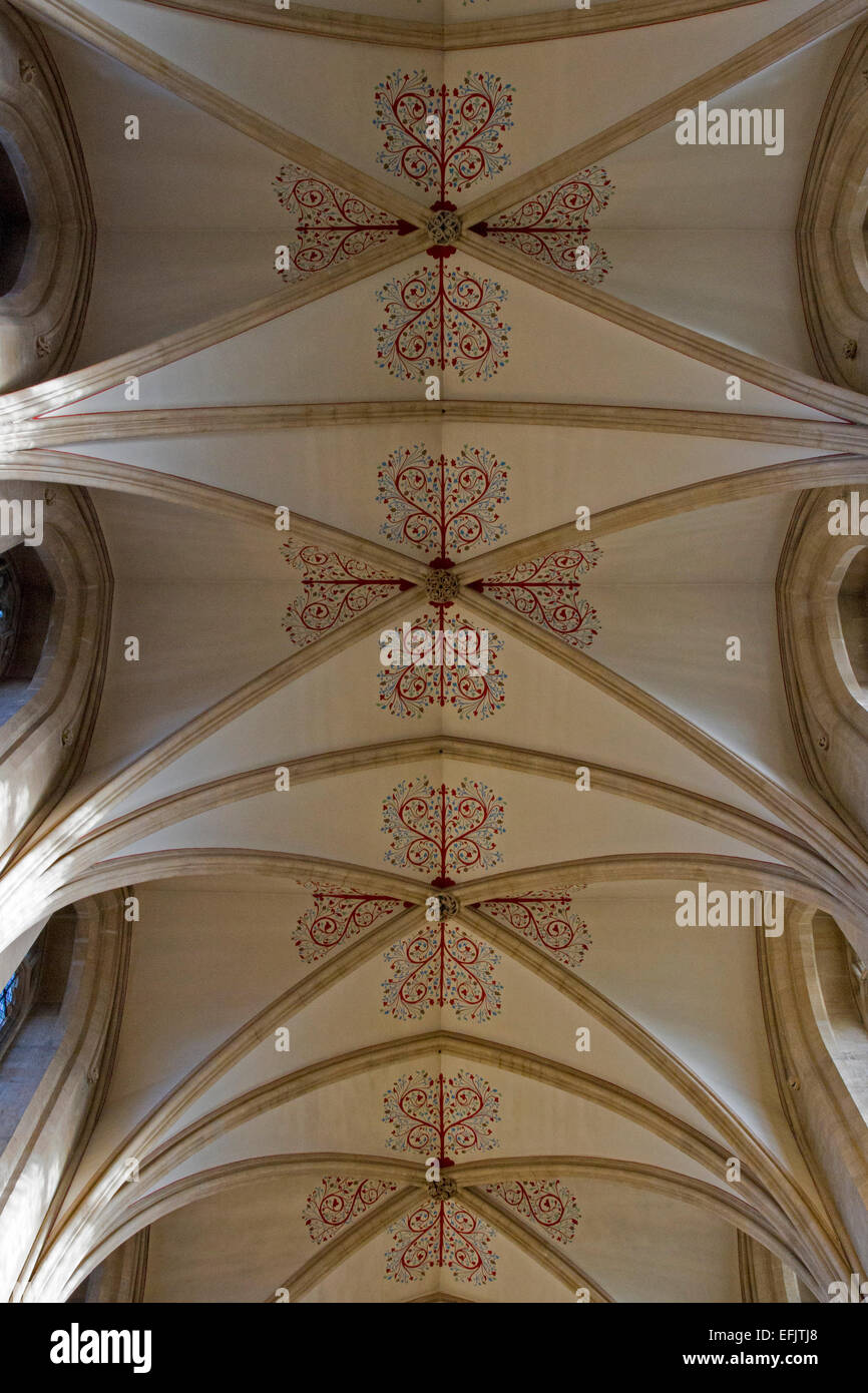 Vaulted ceiling of Wells Cathedral, Somerset, England in December Stock ...