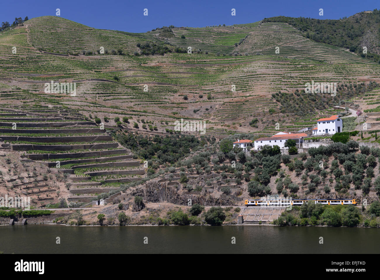Douro river valley, Portugal, Vale do rio Douro Stock Photo - Alamy