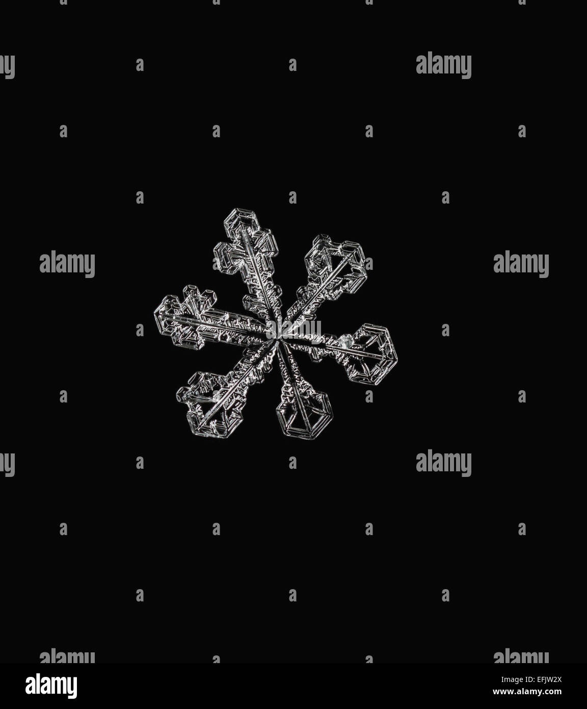 Snowflake macro,snow crystal Stock Photo - Alamy
