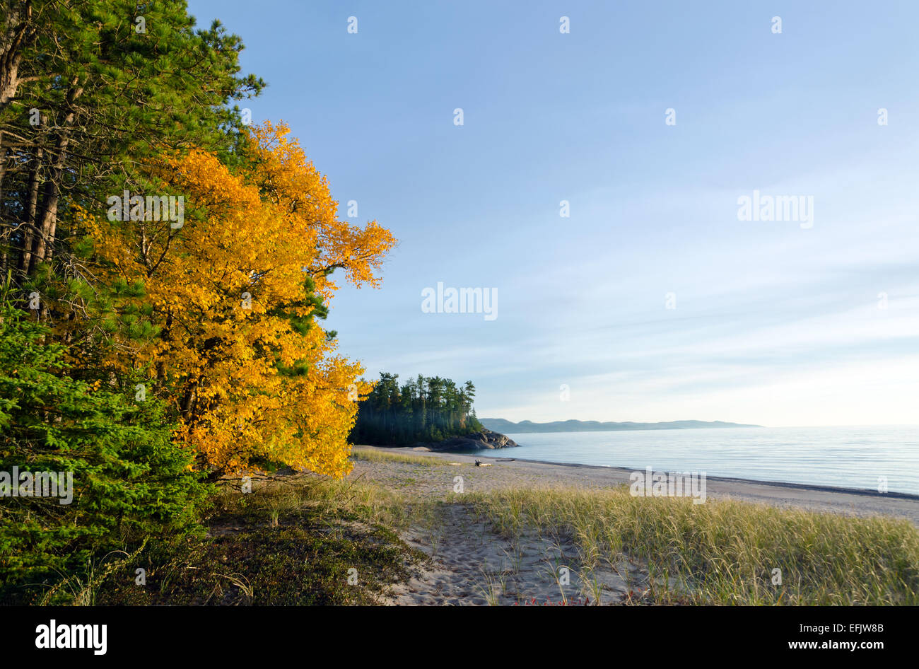 Fall in ontario canada hi-res stock photography and images - Alamy