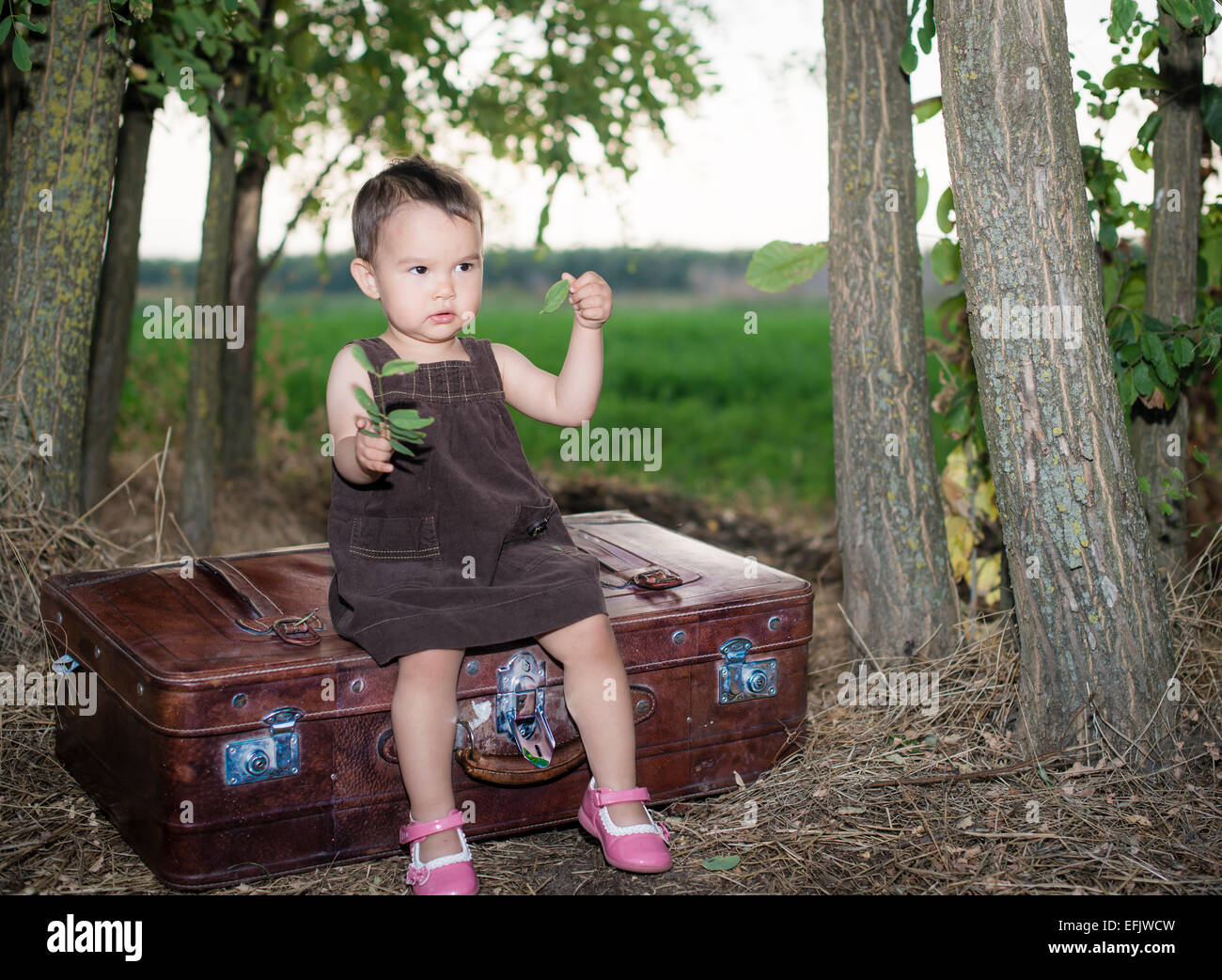 'He loves me, he loves me not' game Stock Photo - Alamy