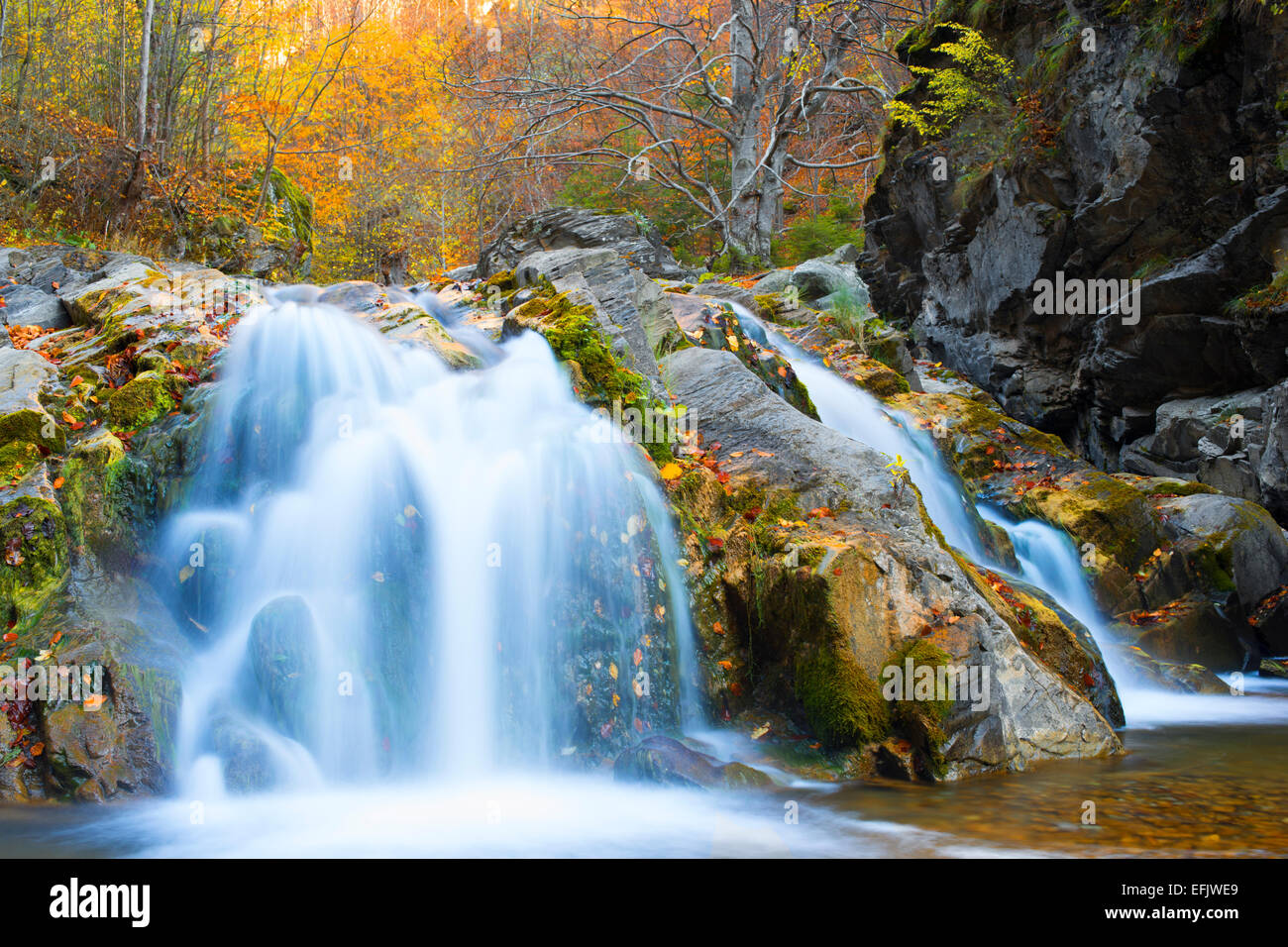 Waterfall in autumn season Stock Photo - Alamy