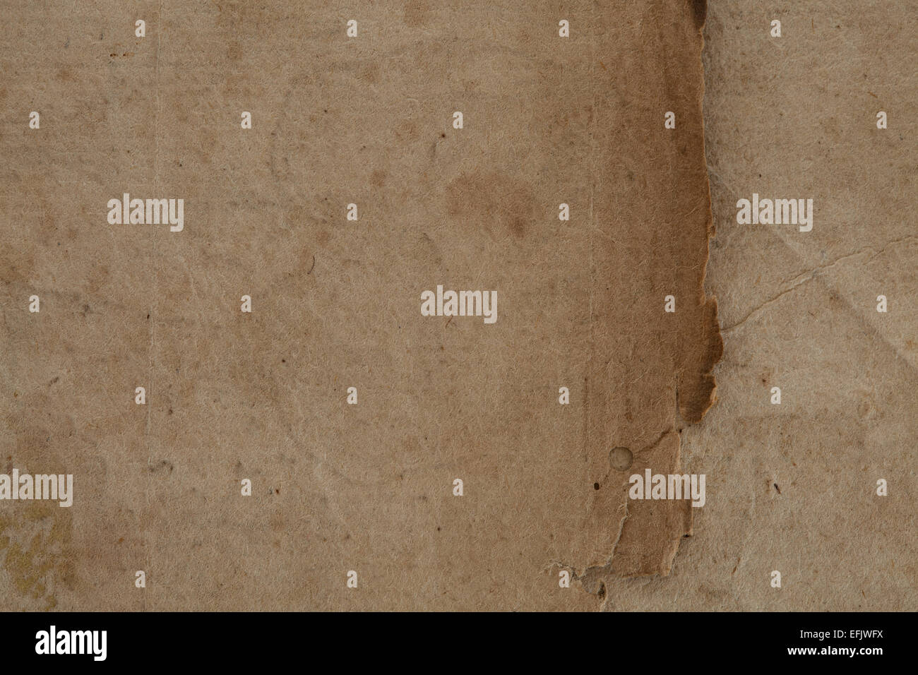 1614 Vintage Antique Retro French Parchment Paper Background in Beige ...