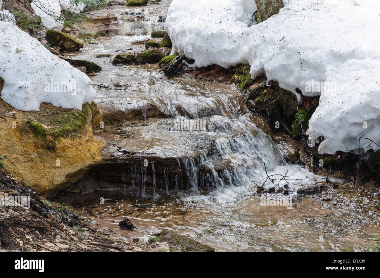 Small stream in mountains winter forest Stock Photo - Alamy