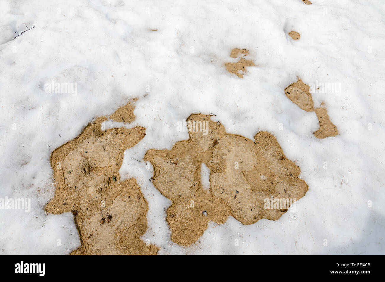 Melting snow on sandy beach of Upper Peninsula, Michigan Stock Photo ...