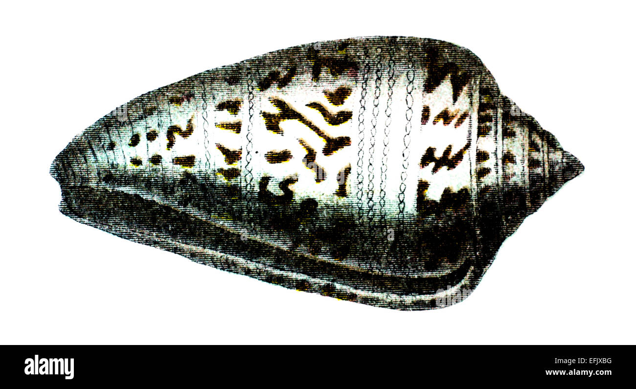 photographed from a book titled 'Student's Encyclopaedia of Universal ...