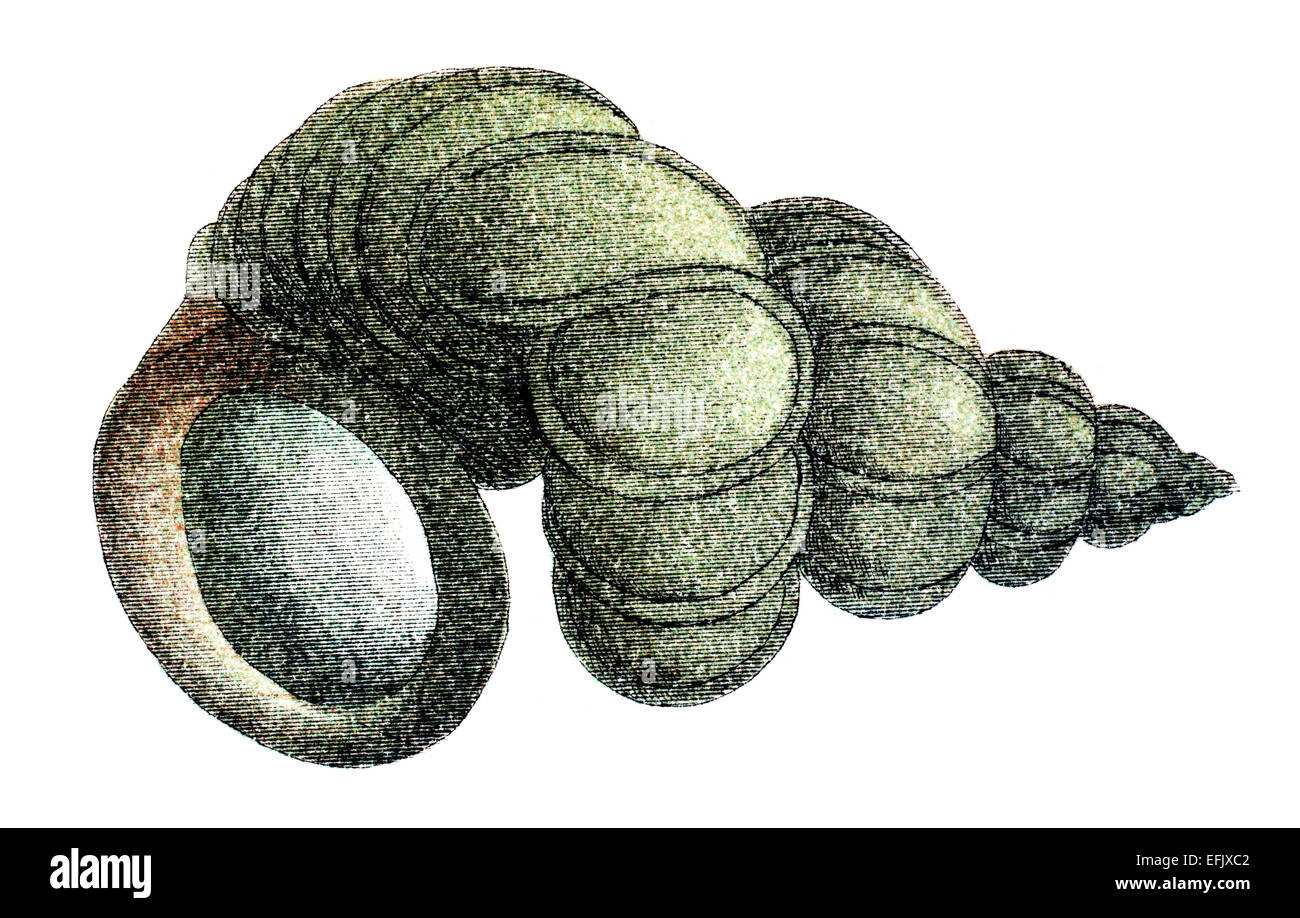 photographed from a book titled 'Student's Encyclopaedia of Universal ...