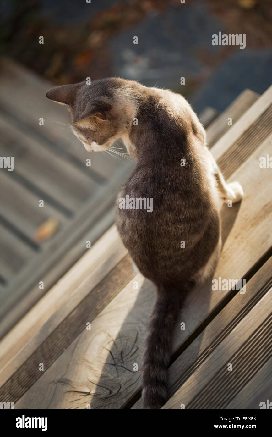 Seated sat hi-res stock photography and images - Alamy