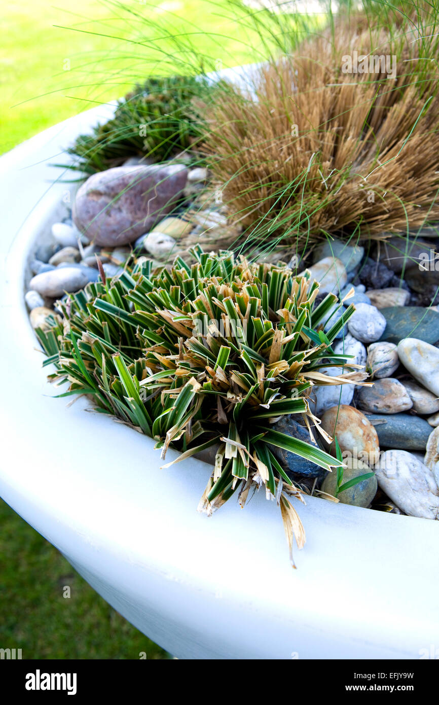 Small garden in a pot with pebbles and grass Stock Photo - Alamy