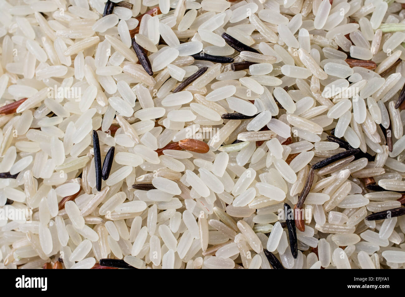 Mix of different species and varieties of rice Stock Photo - Alamy