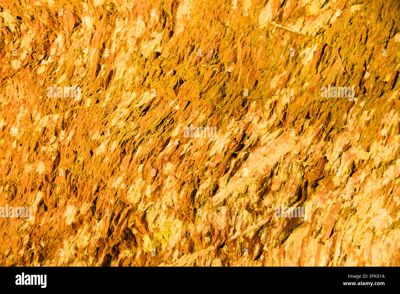 Background of natural wet orange stone wall texture rough rock surface ...