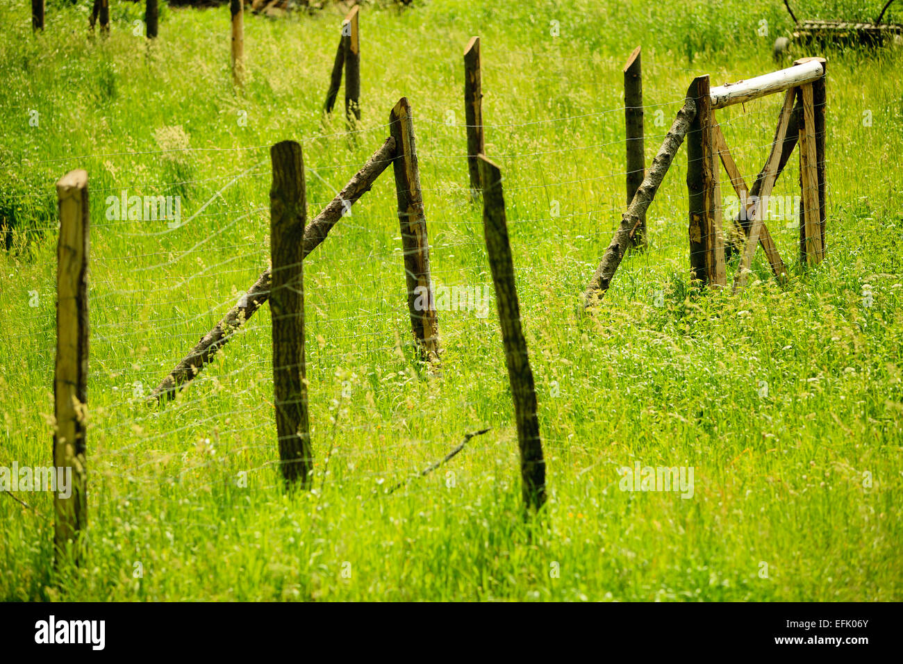wooden, rusty metal damaged old fence on a green, countryside spring ...