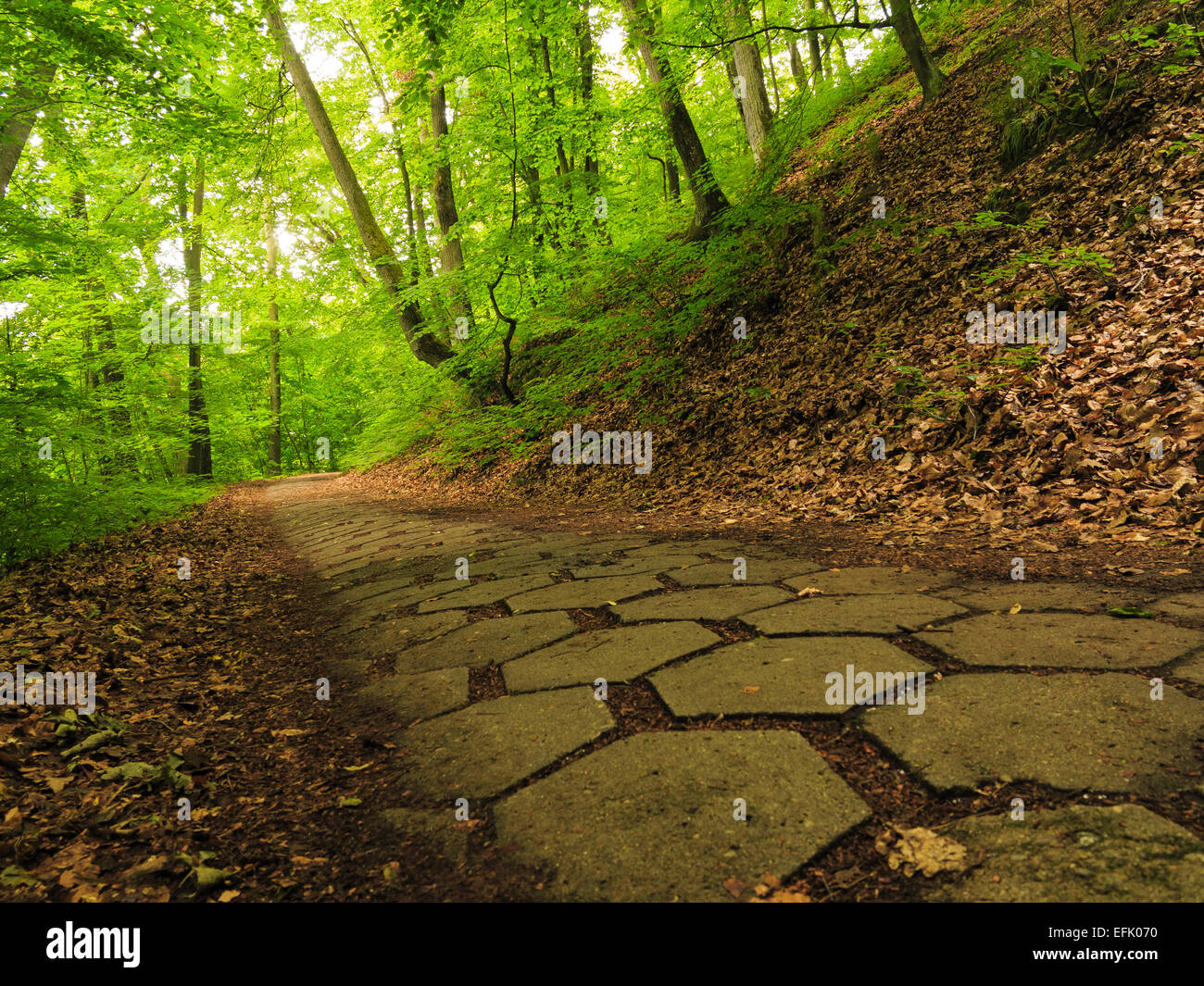 Tranquil pavement scene hi-res stock photography and images - Alamy