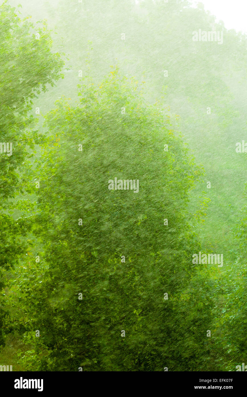 Summer rainy outside window, water drops droplets raindrops on glass windowpane as background ...