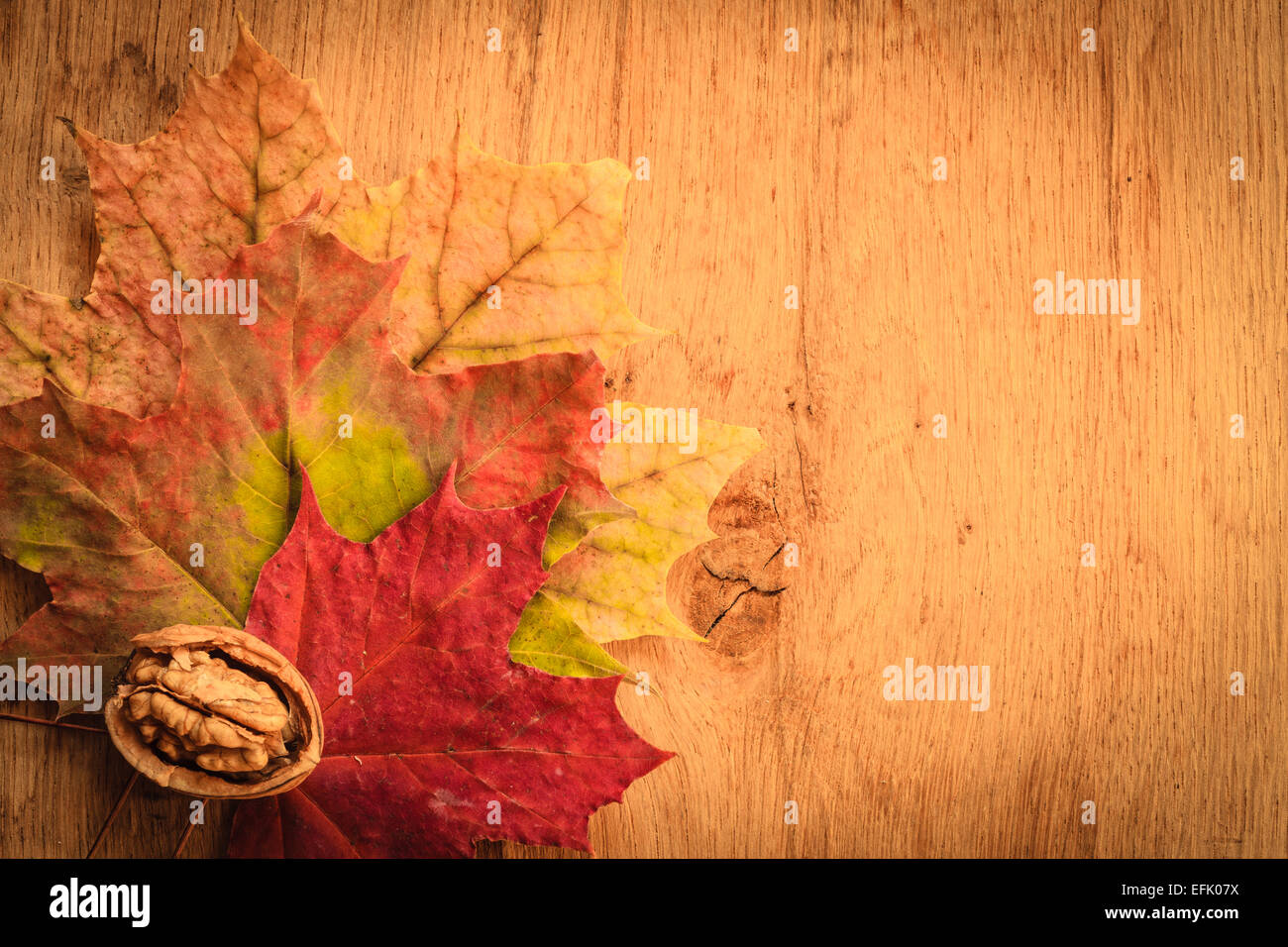 Walnut on colorful autumn leaves. Autumnal background Stock Photo - Alamy