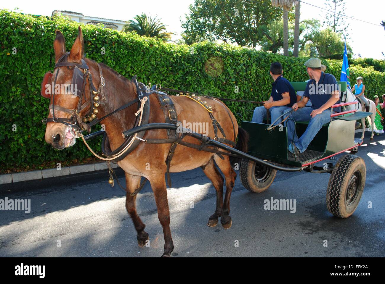 Procession cart hi-res stock photography and images - Alamy