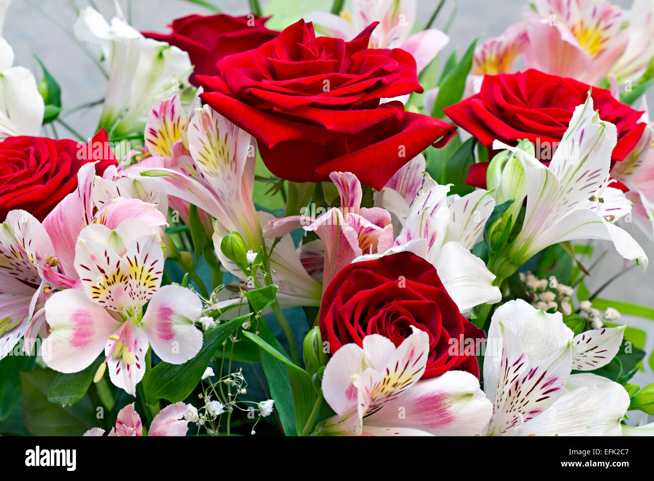 image different colorful flowers in the background Stock Photo - Alamy