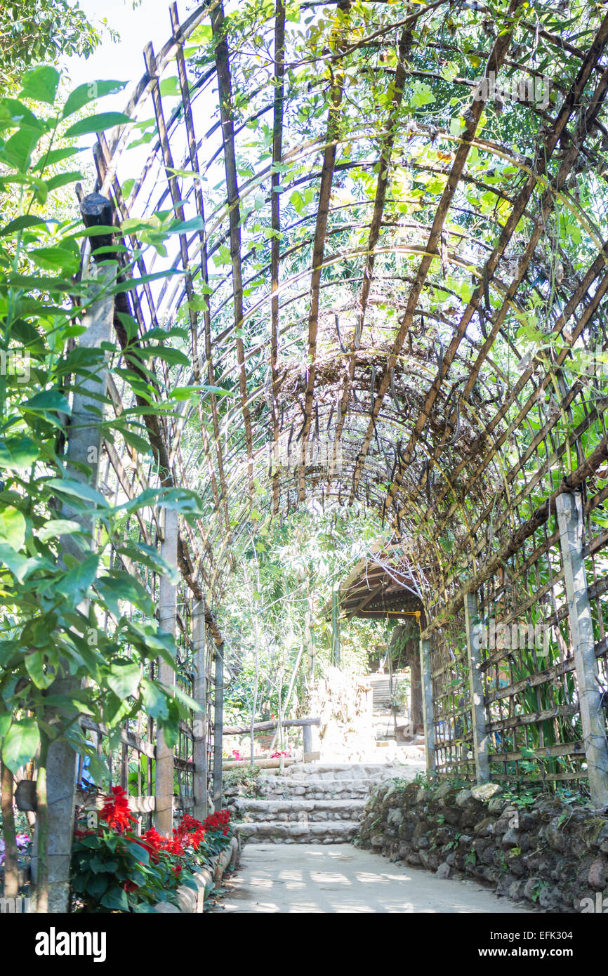 Simple outdoor bamboo arch into the garden, stock photo Stock Photo - Alamy