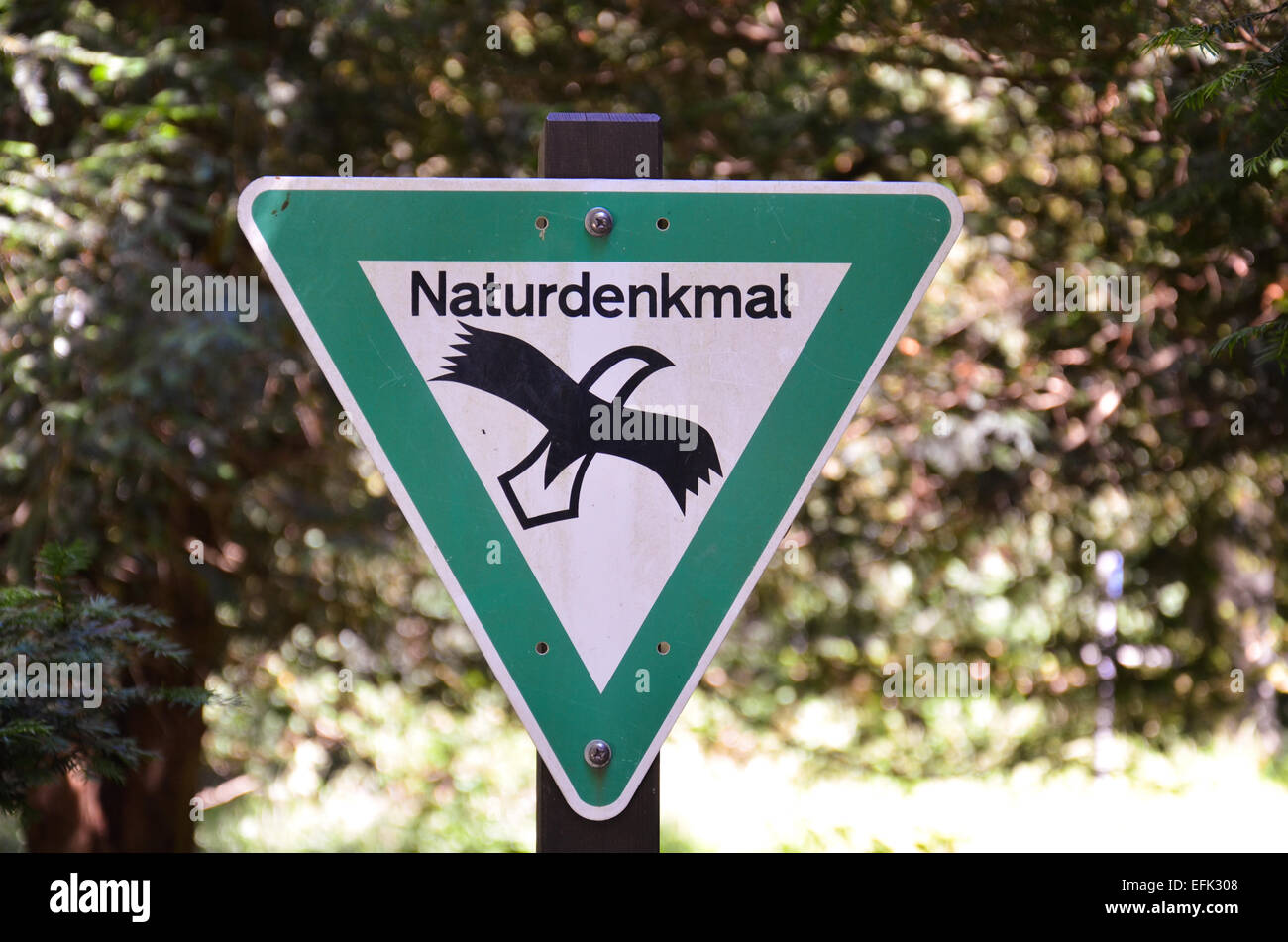 Green triangle sign hi-res stock photography and images - Alamy