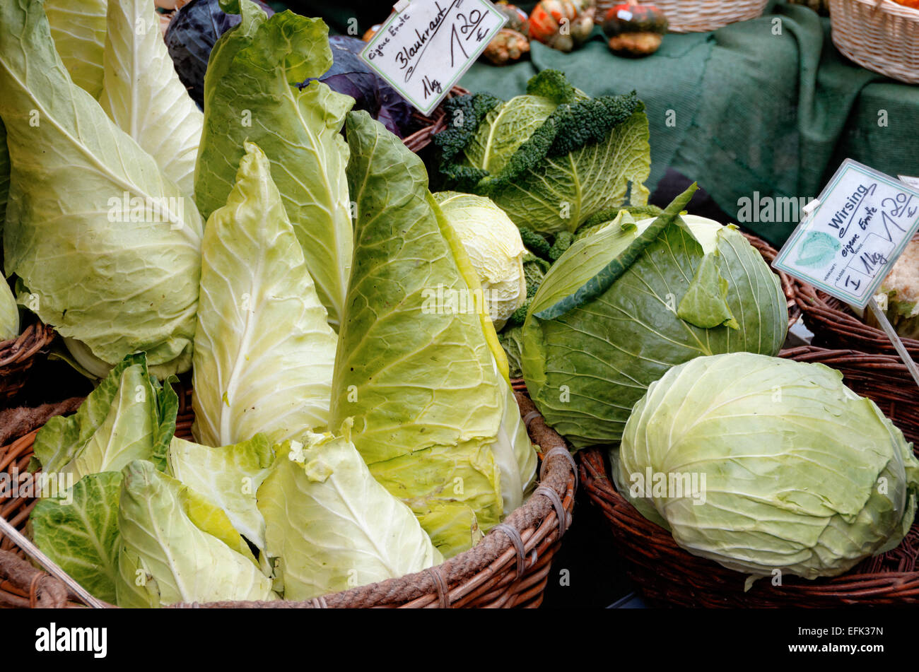 Very large massive big vegetables at the farmers market in Arlen ...