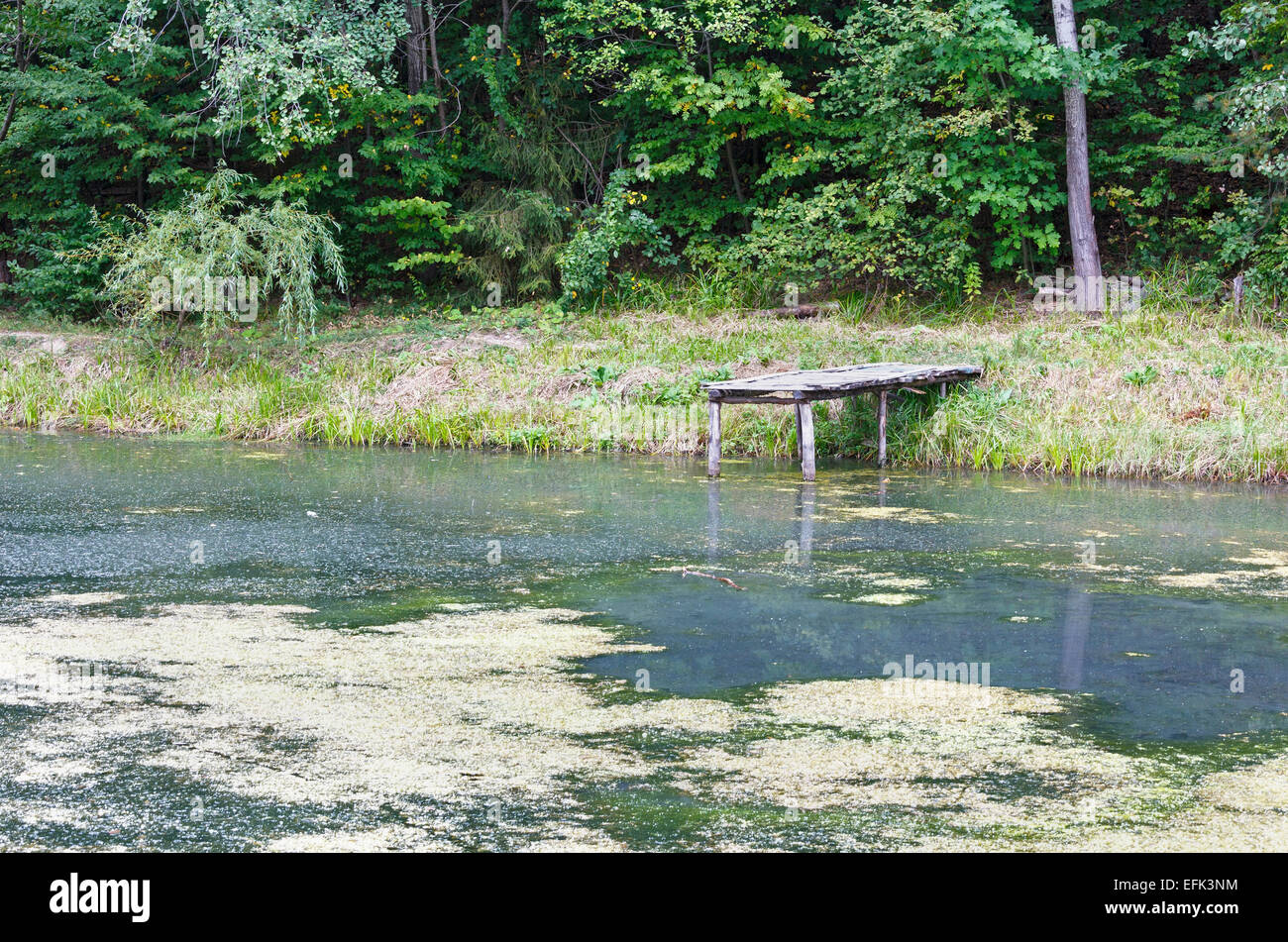 Dirty little lake with a wooden bridge for fishing Stock Photo - Alamy