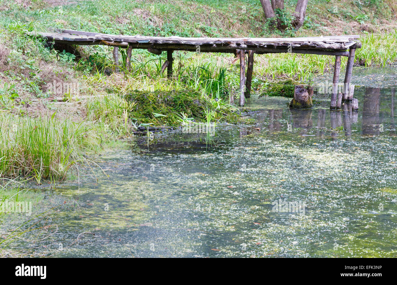 Dirty little lake with a wooden bridge for fishing Stock Photo - Alamy