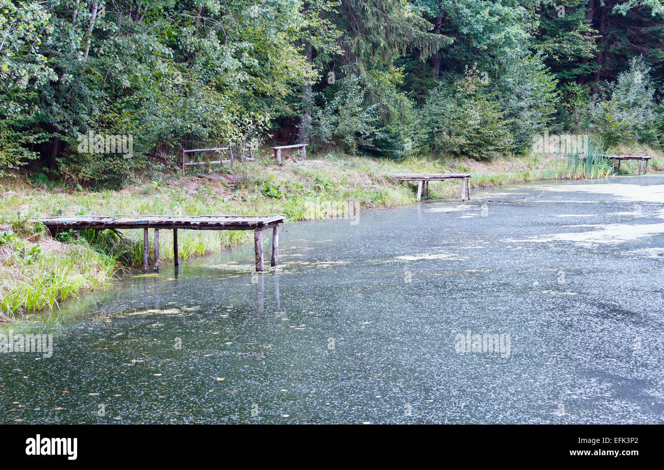 Dirty little lake with a wooden bridge for fishing Stock Photo - Alamy