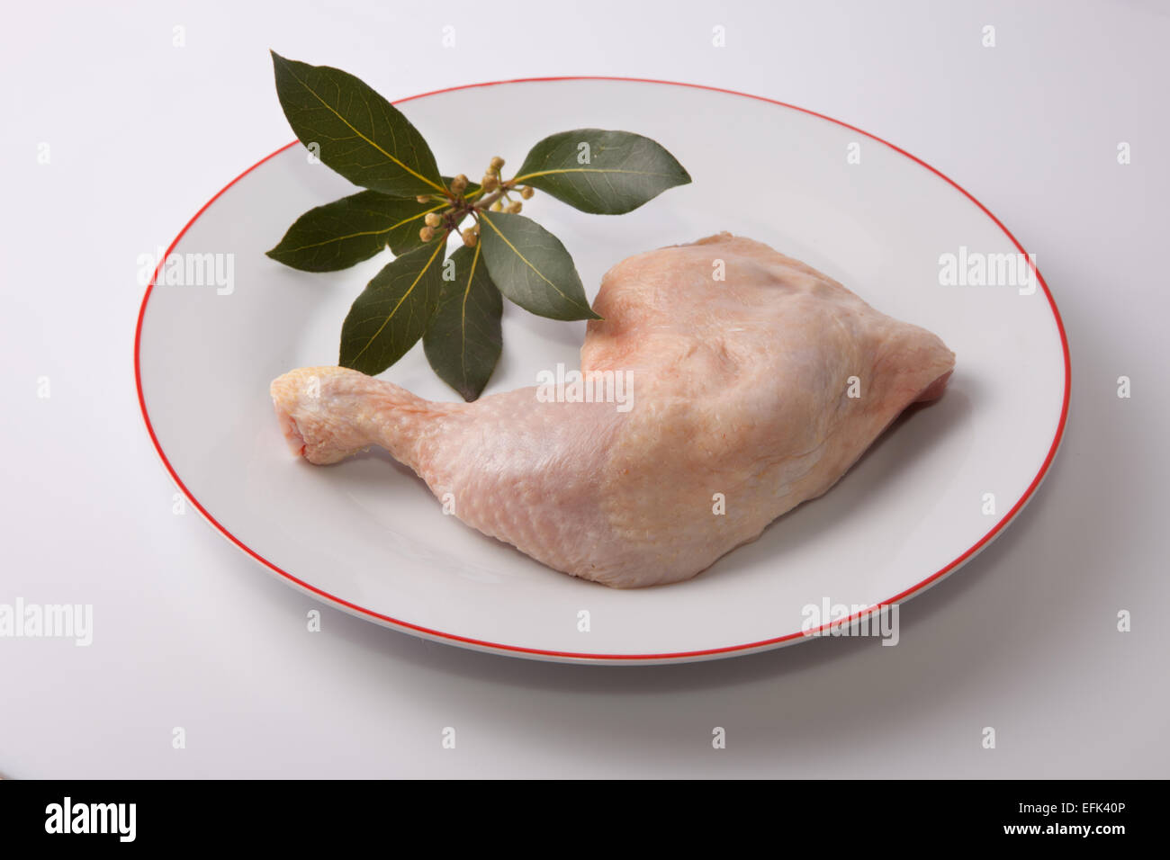 Chicken branch hi-res stock photography and images - Alamy