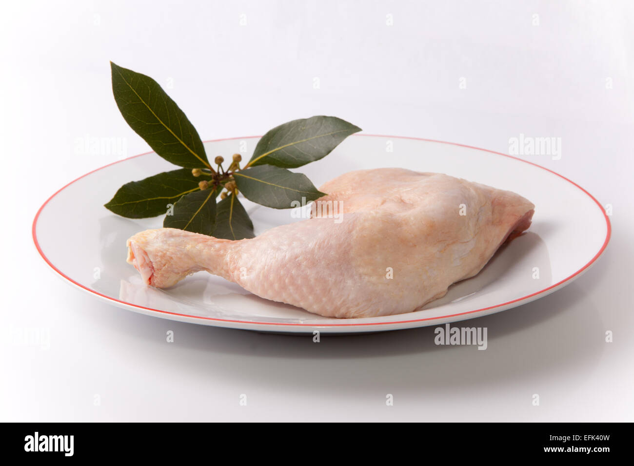 Chicken branch hi-res stock photography and images - Alamy