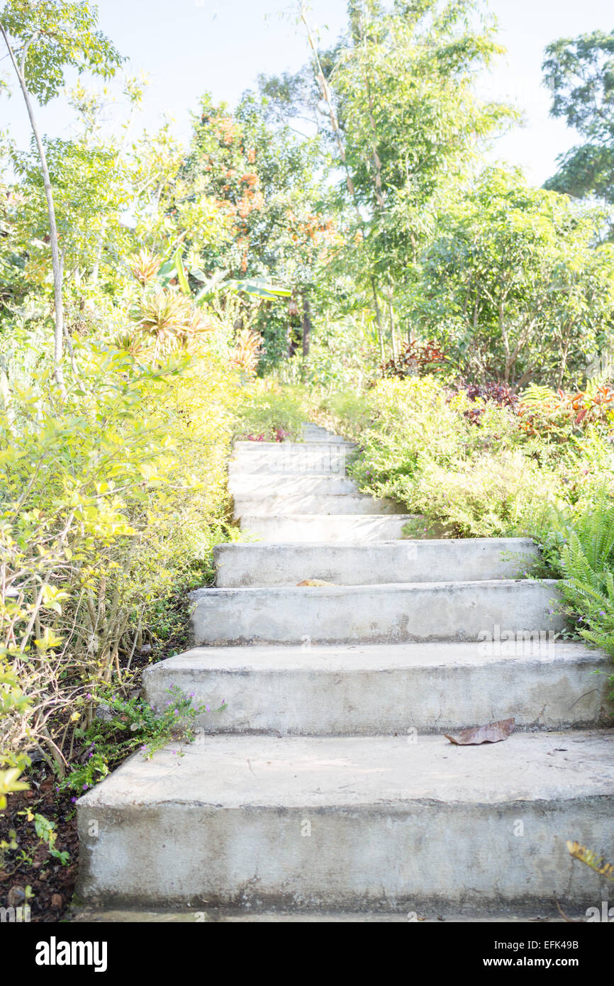 Garden outdoor pathway step up, stock photo Stock Photo - Alamy
