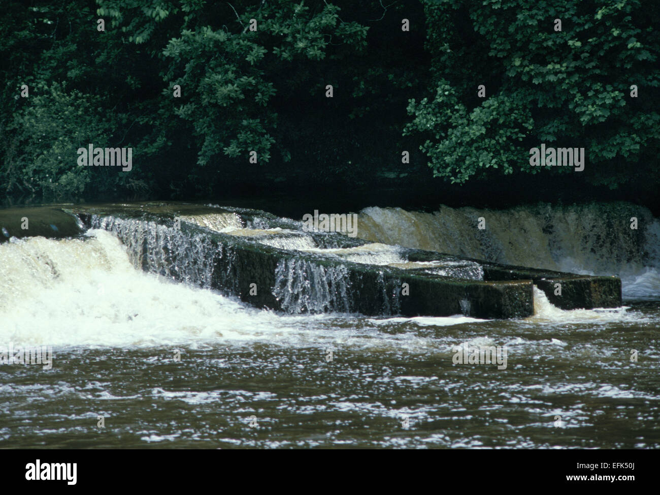 Gunnislake cornwall river tamar hi-res stock photography and images - Alamy