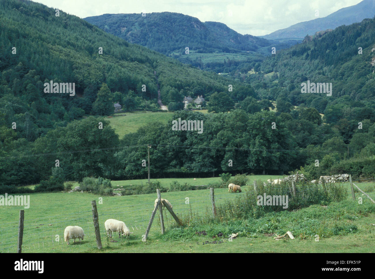 Lledr Valley High Resolution Stock Photography and Images - Alamy