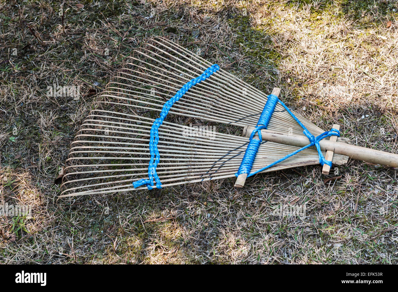 A traditional Japanese gardener's rake made from split bamboo, in ...