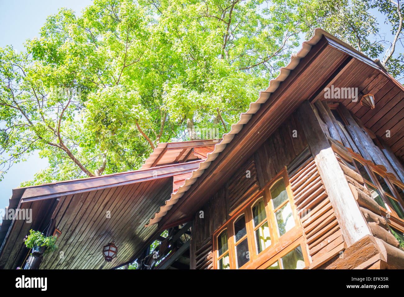 Tropical wooden tree house in resort, stock photo Stock Photo - Alamy