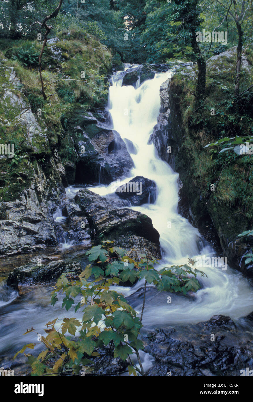 Machno valley hi-res stock photography and images - Alamy